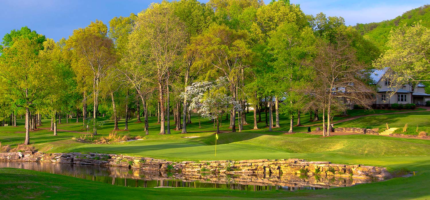 New_splash - The Honors Course